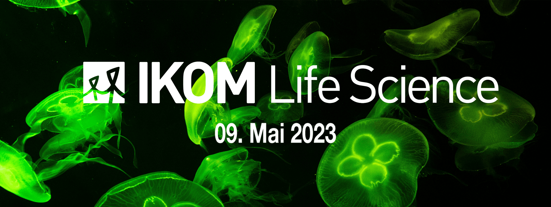 Opportunity on the Horizon.